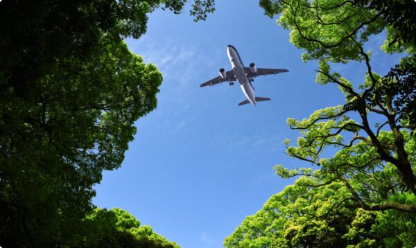 Blue Biofuels | Change the Fuel, Change the Future